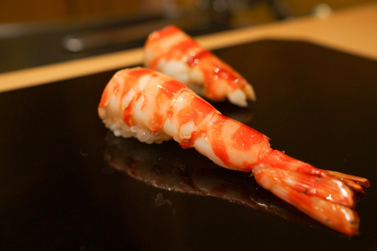 Harutaka – Overworked. Underfed.